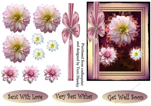 dahlia delight - CUP1290175_906 | Craftsuprint