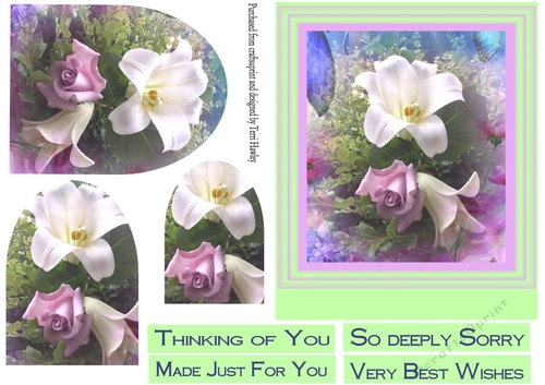so deeply sorry - CUP1304706_906 | Craftsuprint
