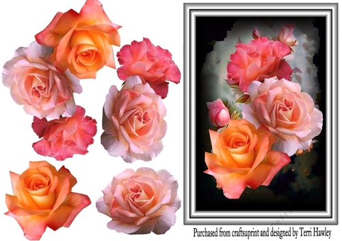 beautiful roses - CUP1331573_906 | Craftsuprint