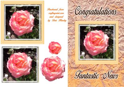 Congratulations Rose - CUP274466_906 | Craftsuprint