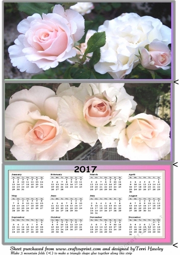 Calendar 7 - CUP282356_906 | Craftsuprint