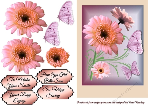 orange gerbera - CUP766796_906 | Craftsuprint