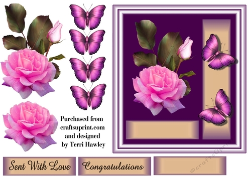 pink rose congratulations. - CUP769895_906 | Craftsuprint