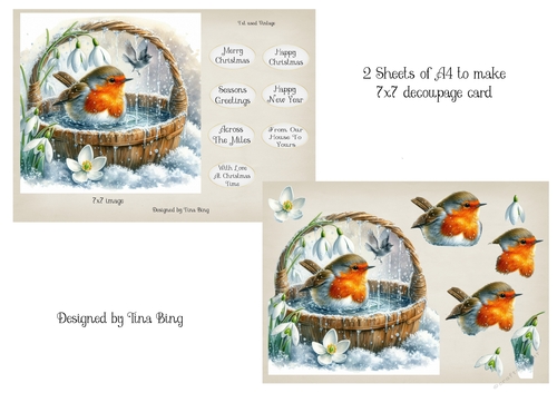 Robin in a bath with snowdrops - CUP1300631_2738 | Craftsuprint