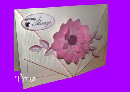 Pleated Front Card Inc Instructions On Making Up - CUP705548_1929 ...