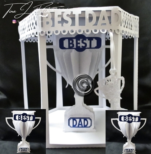 Dad Trophy & Box TF0032, All formats - CUP1100027_596 | Craftsuprint