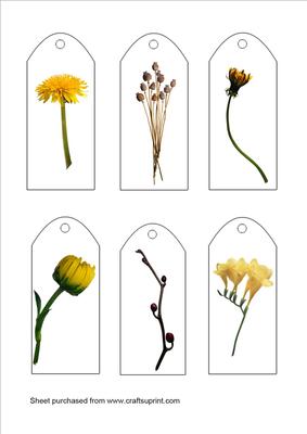 Nature Tags - CUP173565_33 | Craftsuprint