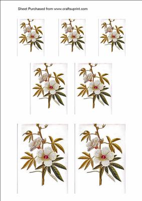 White Flowers Toppers Sheet - CUP205460_33 | Craftsuprint