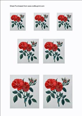Red Roses Topper Sheet - CUP208943_33 | Craftsuprint
