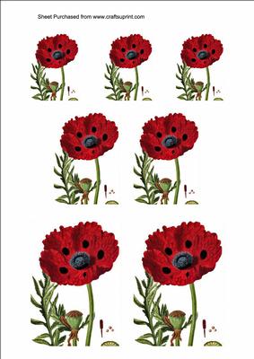 Red Poppy Topper Sheet - CUP209283_33 | Craftsuprint