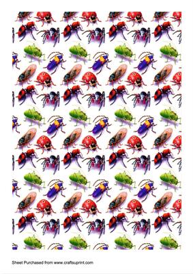 Insects Background - CUP209291_33 | Craftsuprint