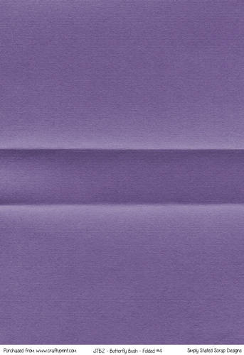 JTB2 - Butterfly Bush - Folded A4 Paper #4 - CUP1269752_95318 ...