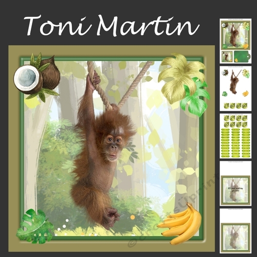 Take it easy - Cheeky monkey card mini kit & decoupage - CUP1025996 ...