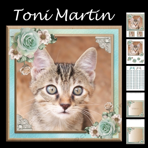 Cute kitten card mini kit & decoupage - CUP968404_1894 | Craftsuprint