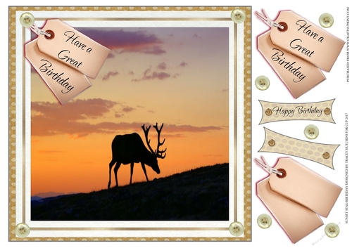 SUNSET STAG BIRTHDAY - CUP775256_25427 | Craftsuprint