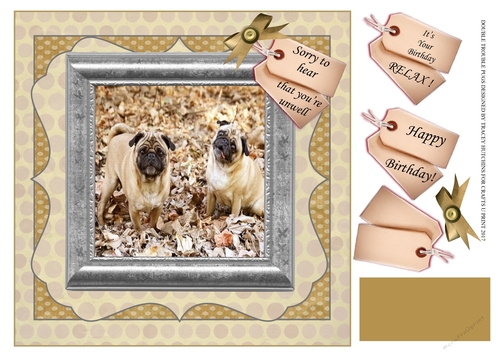 DOUBLE TROUBLE PUGS - GET WELL & VARIOUS SENTIMENTS - CUP782294_25427 ...