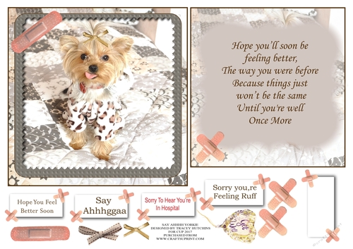SAY AHHHH GET WELL YORKIE 6X6 CONCEPT CARD SHEET - CUP794384_25427 ...