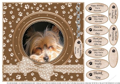 YORKIE TERRIER THANK YOU AND VARIOUS OTHER SENTIMENTS - CUP843835_25427 ...