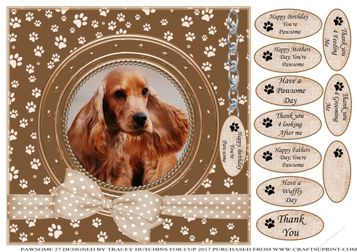SPANIEL 2 THANK YOU AND VARIOUS OTHER SENTIMENTS - CUP844061_25427 ...