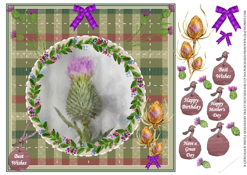 WATERCOLOUR THISTLE UNISEX BIRTHDAY AND NUMEROUS OTHER SENTIMENTS ...