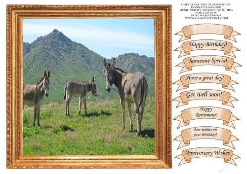 DONKEYS GALORE MULTI SENTIMENTS - CUP880236_25427 | Craftsuprint