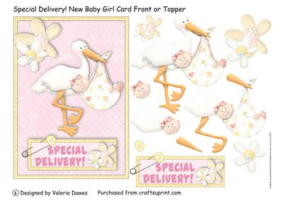 Special Delivery! - New Baby Girl Card Front - CUP88841_203 | Craftsuprint