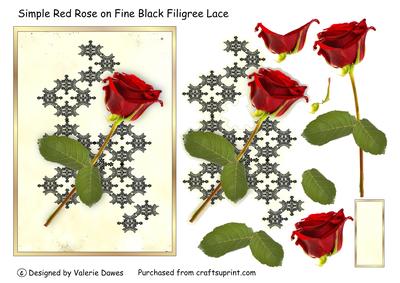 Simple Red Rose on Fine Black Filigree Lace - CUP91244_203 | Craftsuprint