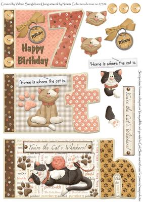 Cats Whisker's 7th Happy Birthday Book Sheet - CUP180937_880 | Craftsuprint