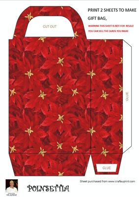 Poinsettia Christmas Gift Bag - CUP449250_116 | Craftsuprint