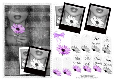 Purple Daisy Card - CUP58116_543 | Craftsuprint