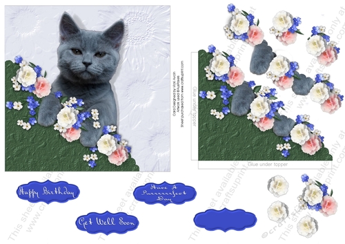 Cute Grey Kitty with Embossed look and faux Corner Pocket - CUP722054 ...