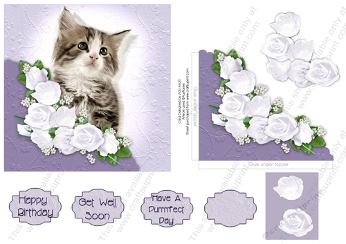 Cute Tabby Kitty with Embossed look and faux Corner Pocket - CUP722068 ...