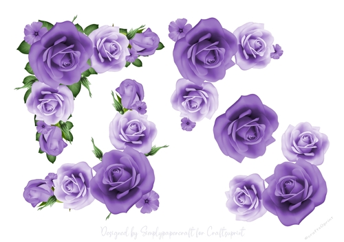 Rose Vignette Step by Step 5 - CUP1129565_43136 | Craftsuprint