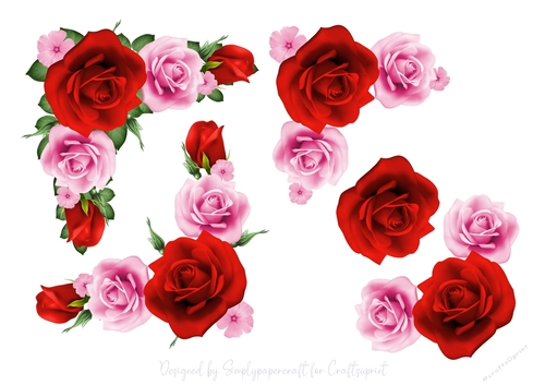Rose Vignette Step by Step 6 - CUP1129566_43136 | Craftsuprint