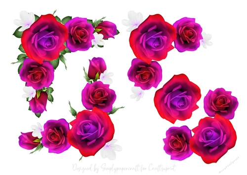 Rose Vignette Step by Step 9 - CUP1129569_43136 | Craftsuprint