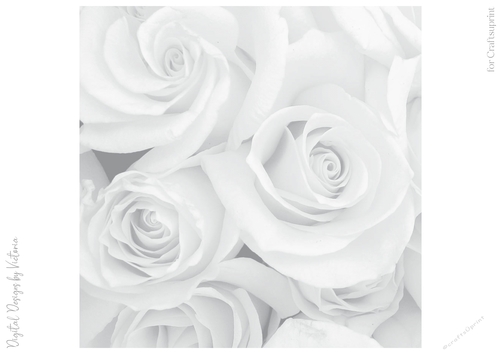 Soft Silver Large Rose 8x8 Paper - CUP729741_43136 | Craftsuprint