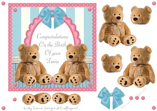 Twin Baby Boy and Girl Teddy Bear - CUP787315_43136 | Craftsuprint