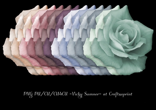 Soft Spring Rose - CUP859472_43136 | Craftsuprint