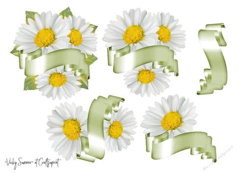 Daisy and Banner JPG - CUP879776_43136 | Craftsuprint