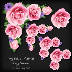 Rose Corner Cluster 1 - Photo by Davina Rundle