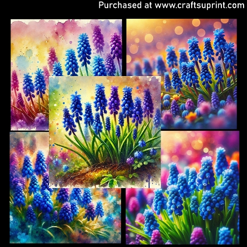 Spring flowers - Muscari - CUP1358042_124952 | Craftsuprint