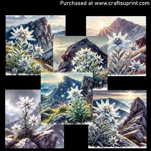 Edelweiss -CARD FRONTS - CUP1361767_124952 | Craftsuprint