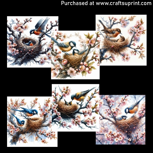 Birds Nesting - CARD FRONTS - CUP1366599_124952 | Craftsuprint