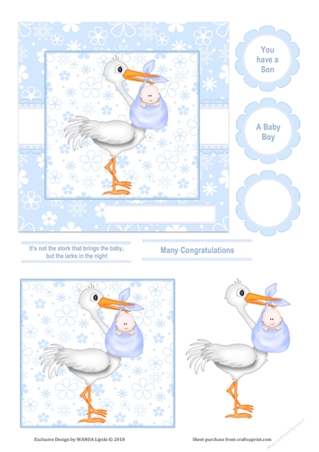 NOT THE STORK THAT BRINGS THE BABY BOY BIRTH CARD FRONT TOPPER ...