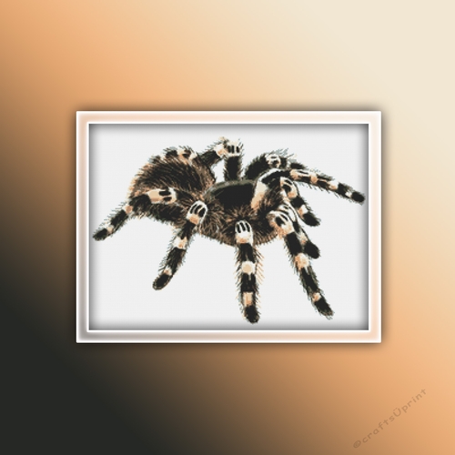Tarantula 2 Cross Stitch Pattern | Spider - CUP1105664_112824 ...