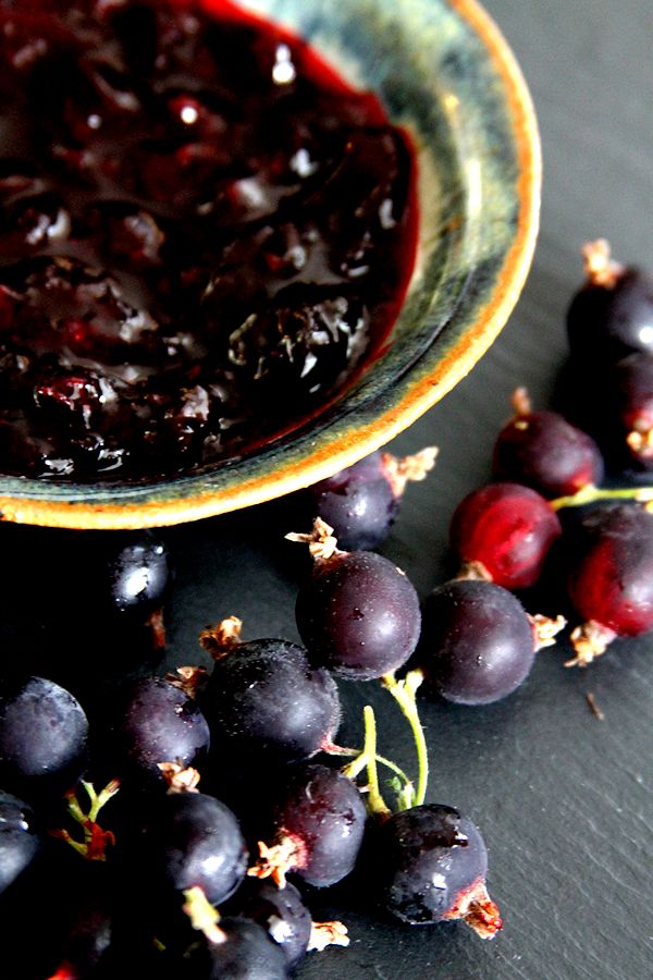 Easy Jostaberry Jam – A Cup of Sugar … A Pinch of Salt