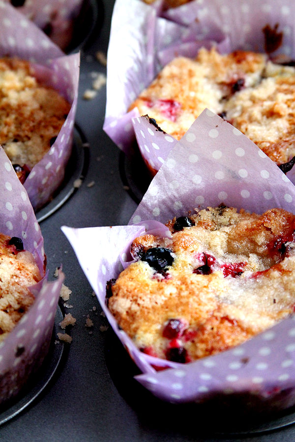 Blueberry Currant Muffins, with Butter Streusel – A Cup of Sugar … A ...