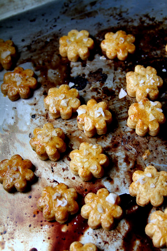 Spicy Cheddar and Sea Salt Crackers – A Cup of Sugar … A Pinch of Salt