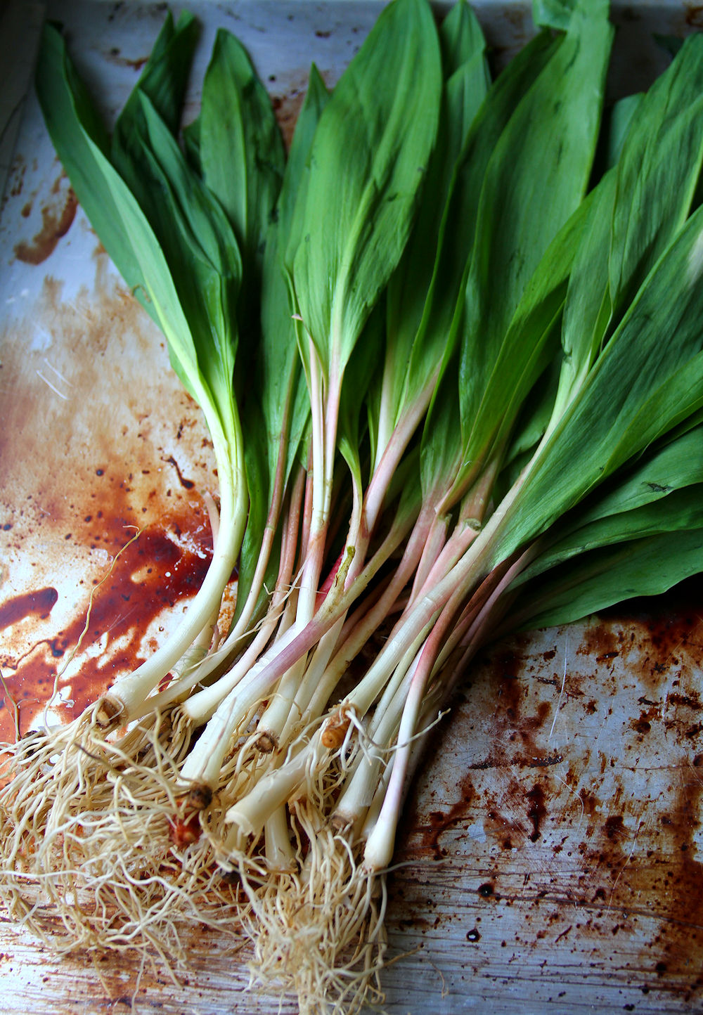 Flavored Salt Trio: Ramps (Wild Garlic), Spicy Chili and Meyer Lemon ...