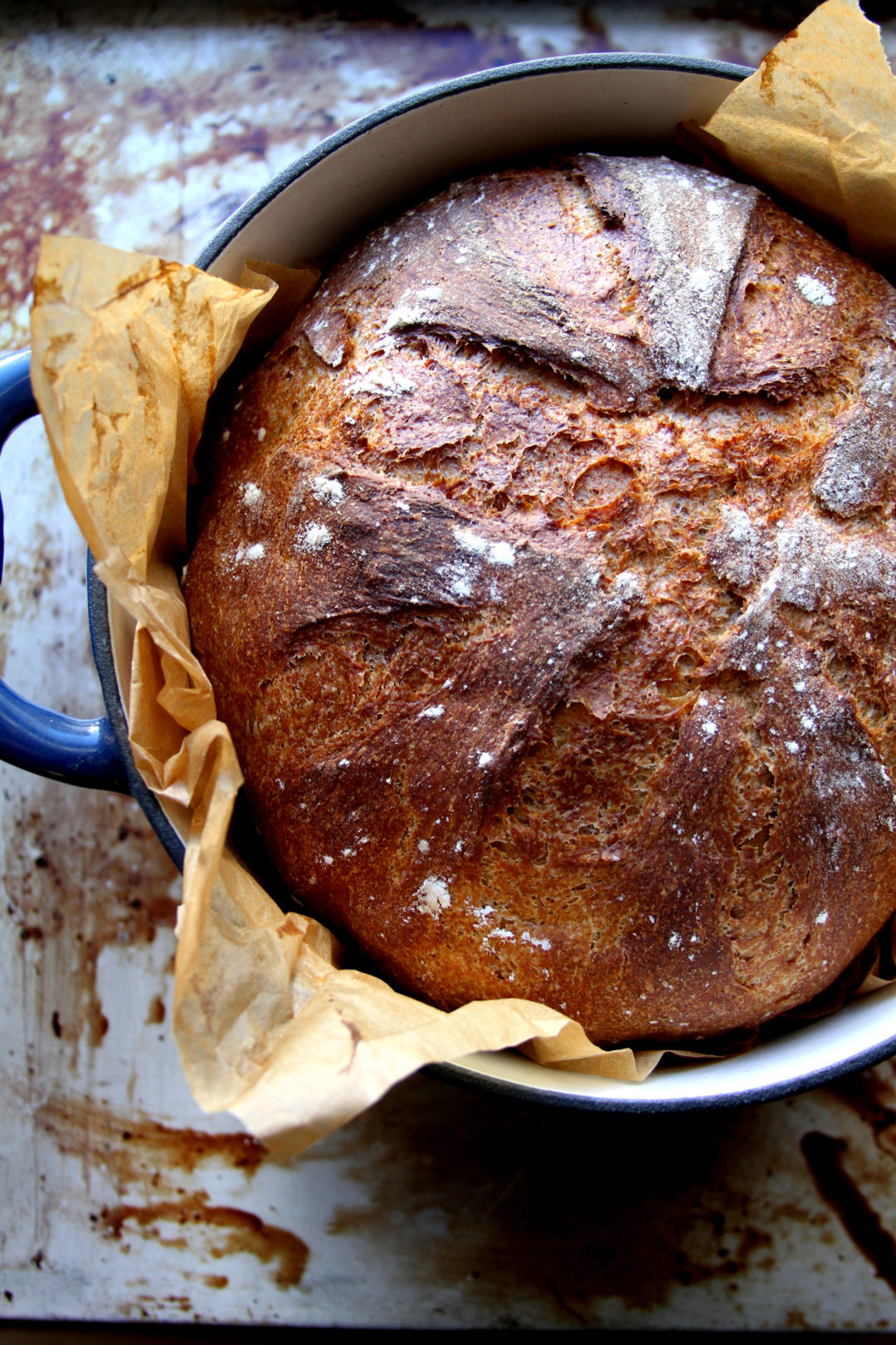 Low Knead Whole Wheat Anadama Bread, Baked in a Dutch Oven – A Cup of ...